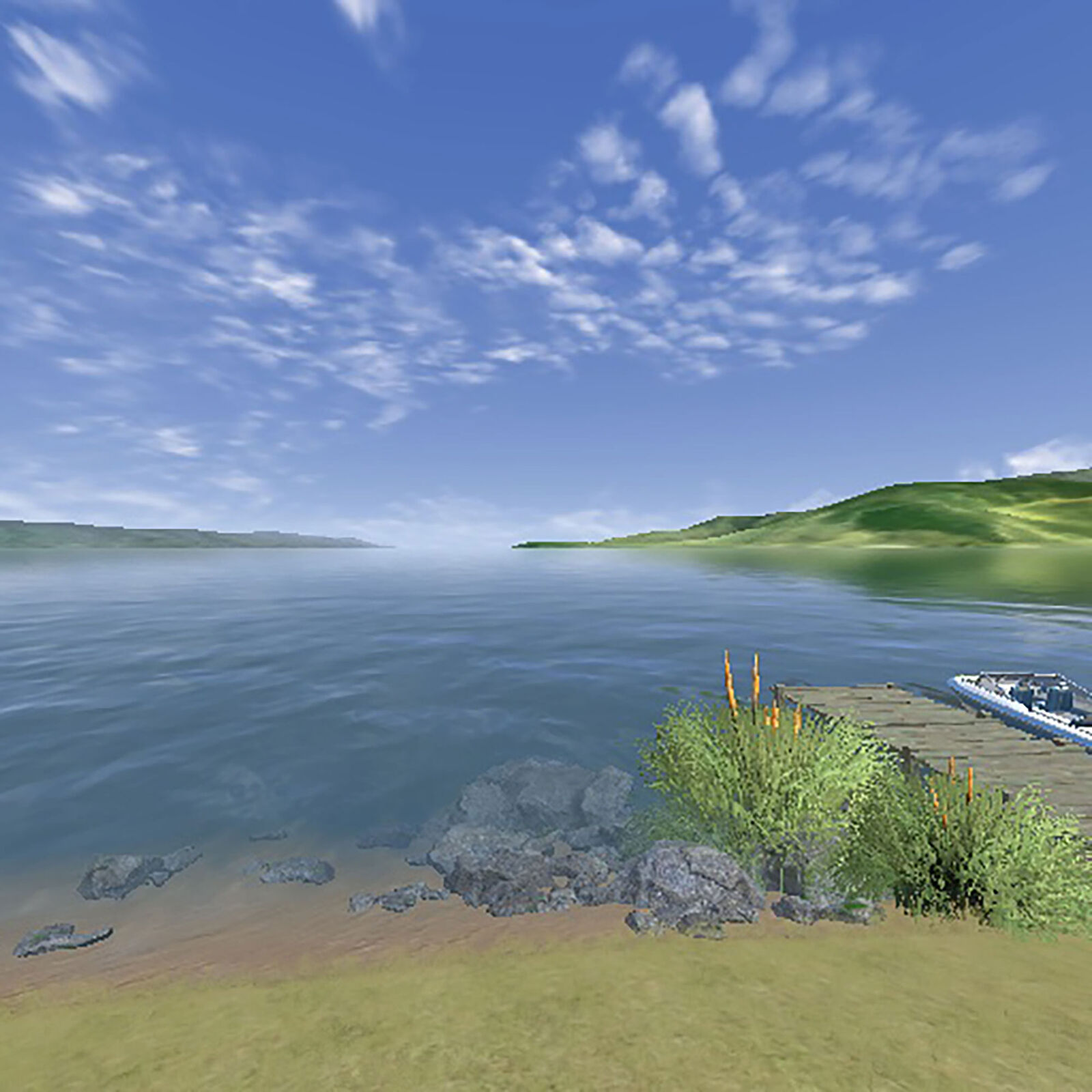 RealFlight Trainer Edition RC Flight Simulator with WS2000 Wireless ...