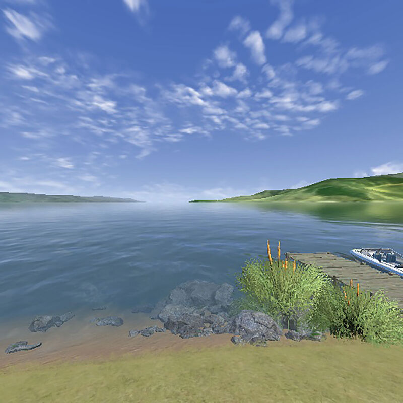 RealFlight Trainer Edition RC Flight Simulator with WS2000 Wireless ...