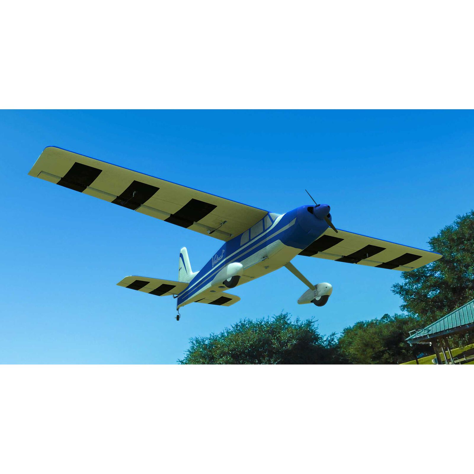 RealFlight Evolution 2024 Quarterly Content Pack 1 | RealFlight