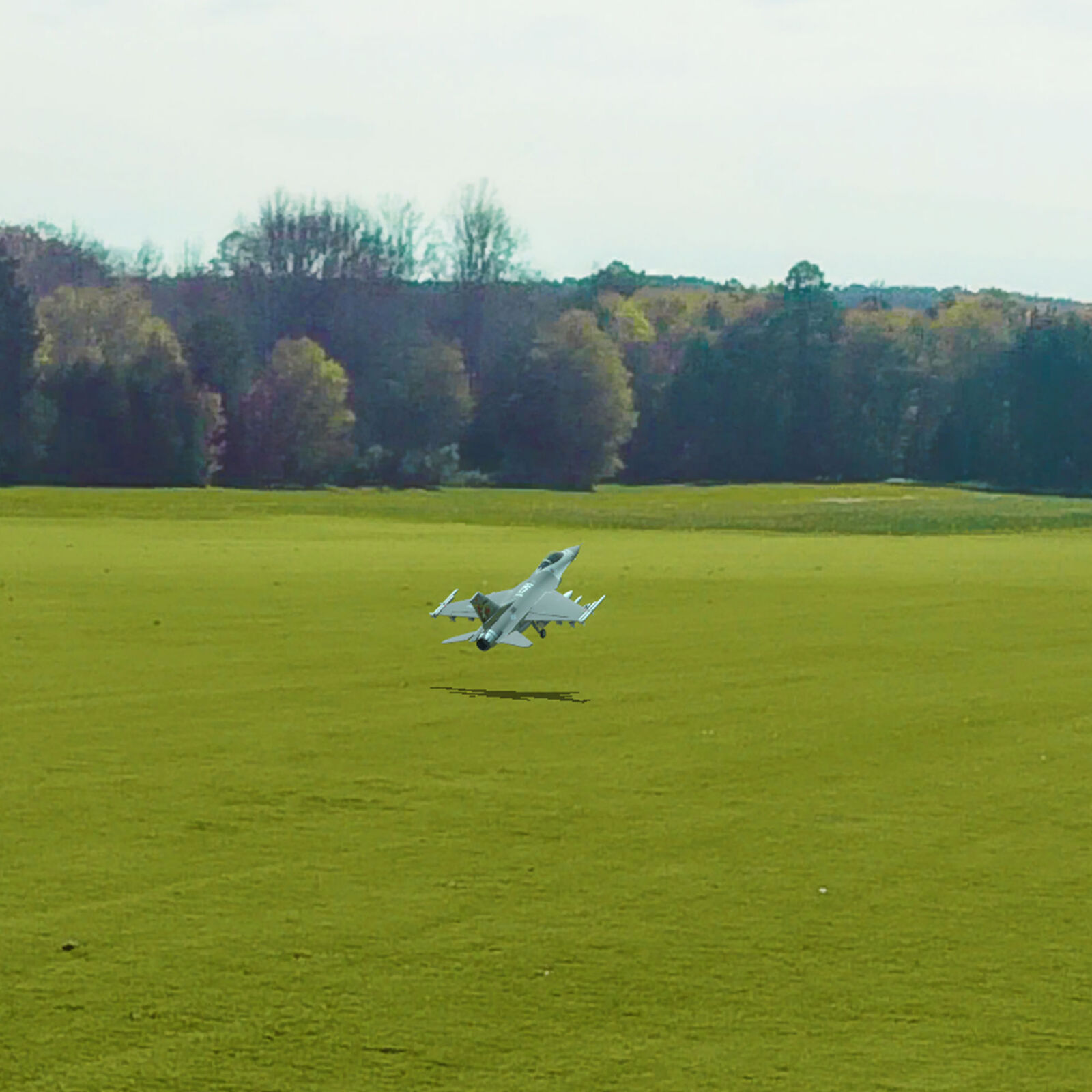 RealFlight Evolution RC Flight Simulator Software Only | RealFlight