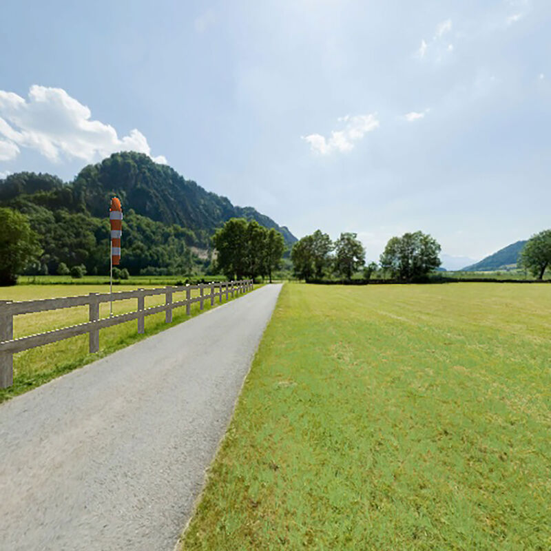 RealFlight Trainer Edition RC Flight Simulator with WS2000 Wireless ...